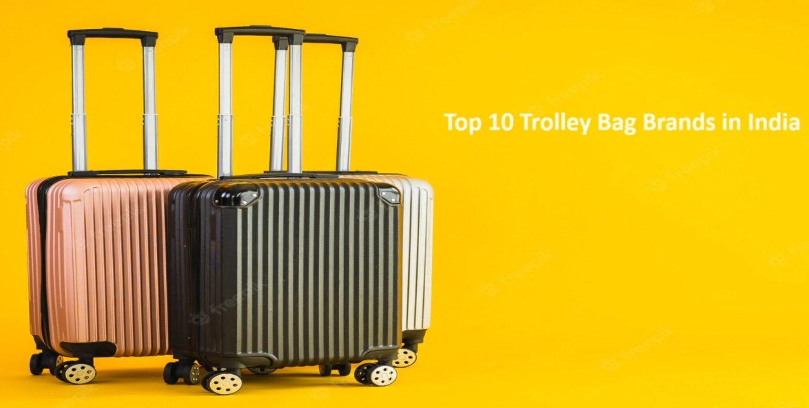 Top 10 Trolley Bag Brands in India 2024 – Buy Now